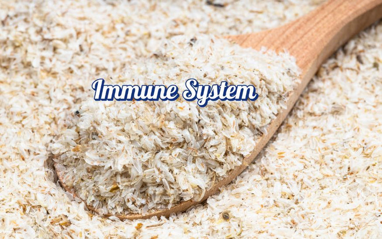 Isabgol Bhusi for Immunity: Natural Gut-Boosting Support – Laxmi Sat ...
